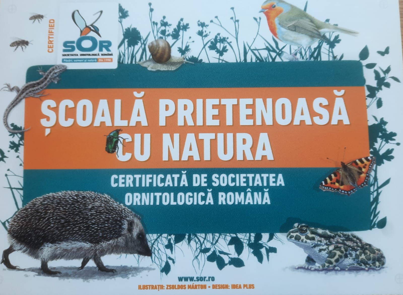 Școală Prietenoasă cu Natura – Școala Gimnazială "Ștefan Bârsănescu" Iași